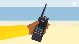 Saffron Interactive | Bespoke digital learning content and solutions